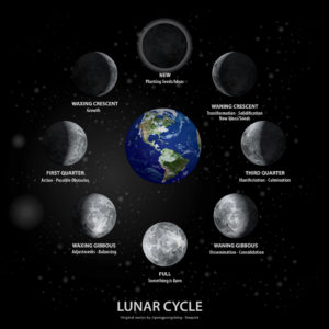 Lunar-Cycle-Main-Black—Thoth-and-@pongpongching | Practical Spirituality
